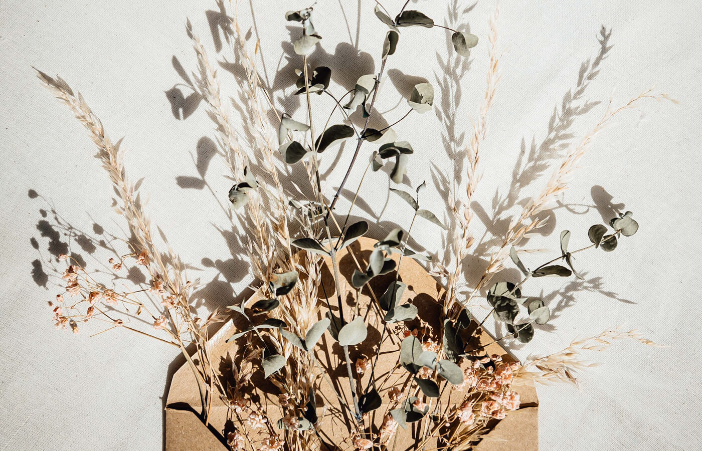 Contact us - Our Homely